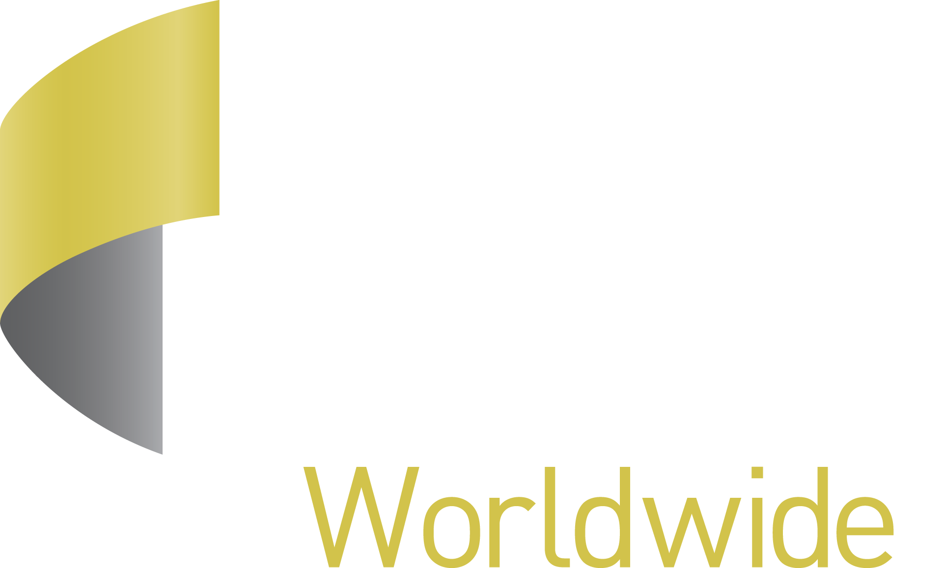 FinBiz2030 - Chartered Accountants Worldwide