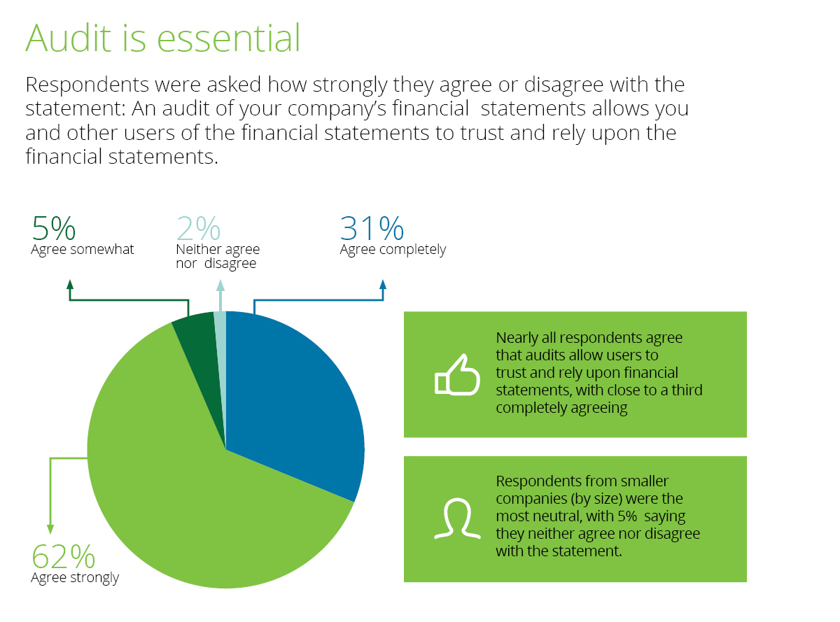 Audit and an Evolving Financial Reporting Ecosystem - Chartered ...