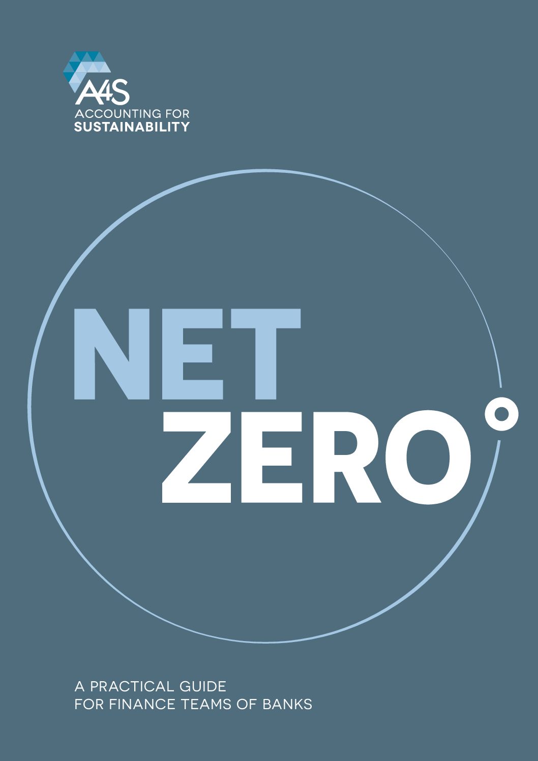 Net Zero Guidance - Part 2 - Chartered Accountants Worldwide